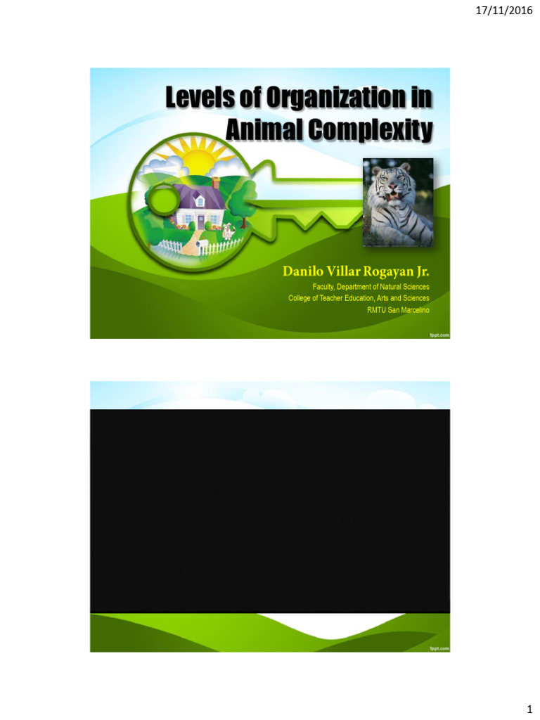Animal Organization Levels Explained | PDF | Cell (Biology) | Tissue ...