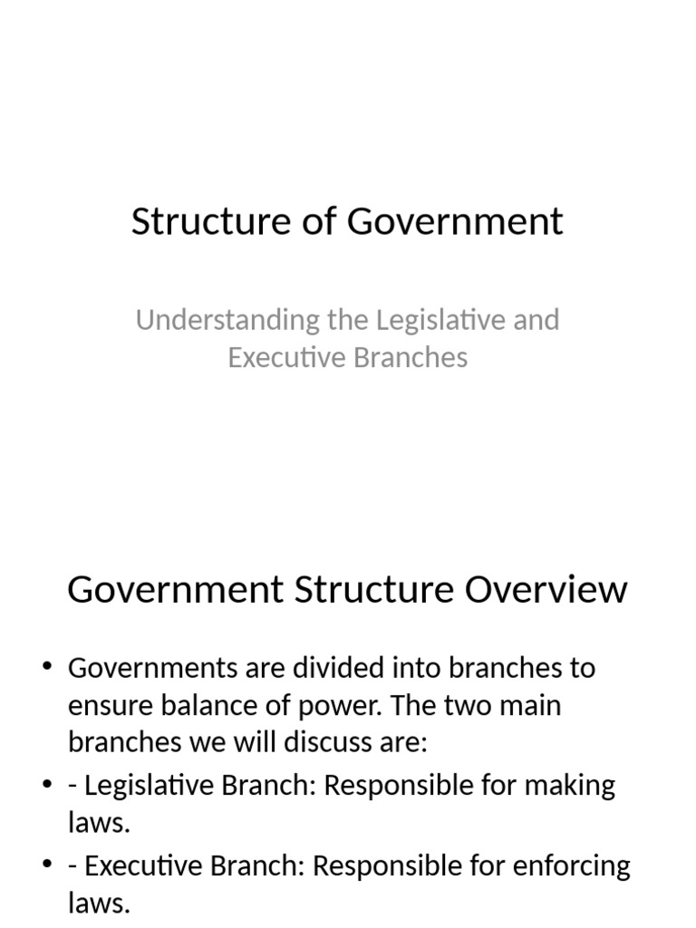 Government Structure Overview: Branches | PDF