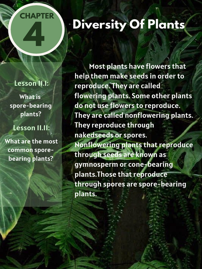 Group01 Newton Natural Science Textbook 2 | PDF | Fern | Plants