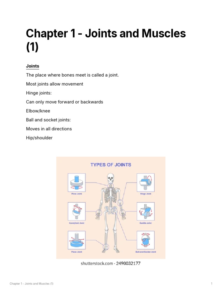 Chapter 1 - Joints and Muscles | PDF