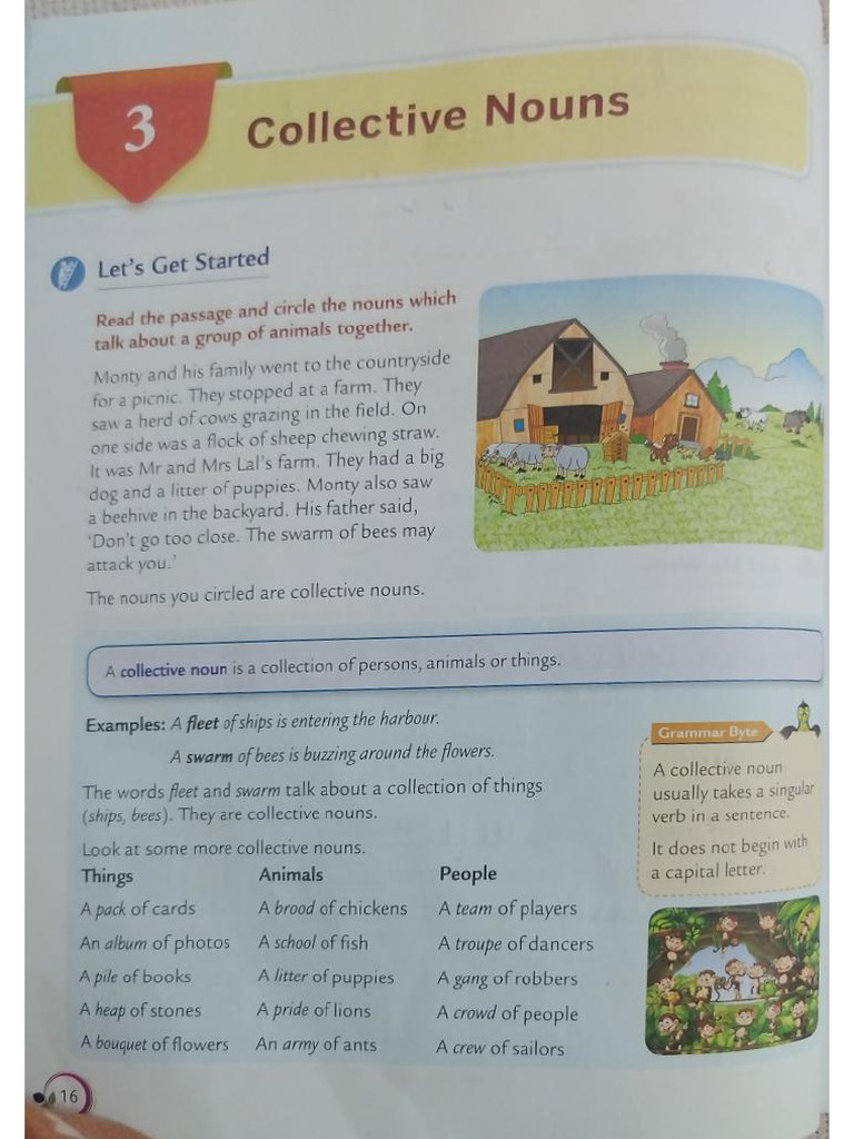 Answer Key of Ch-3 Collective Nouns | PDF