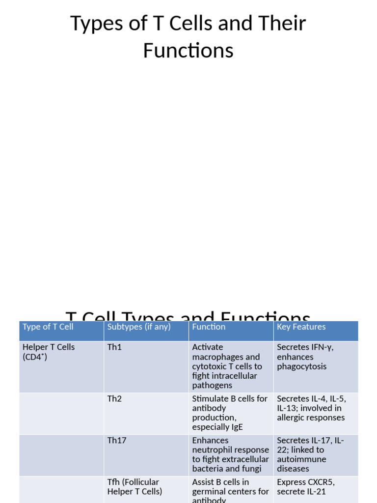 T Cell Types and Functions | PDF