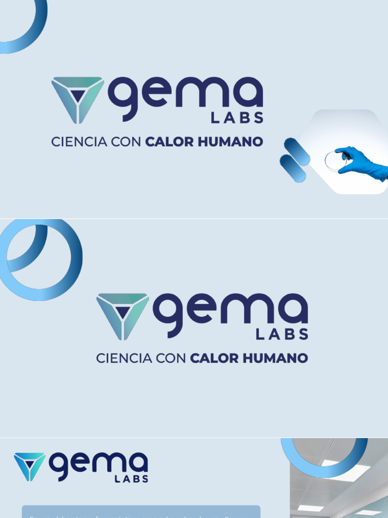 Gema Labs Final Entrenamiento2 | PDF | Calidad (comercial ...