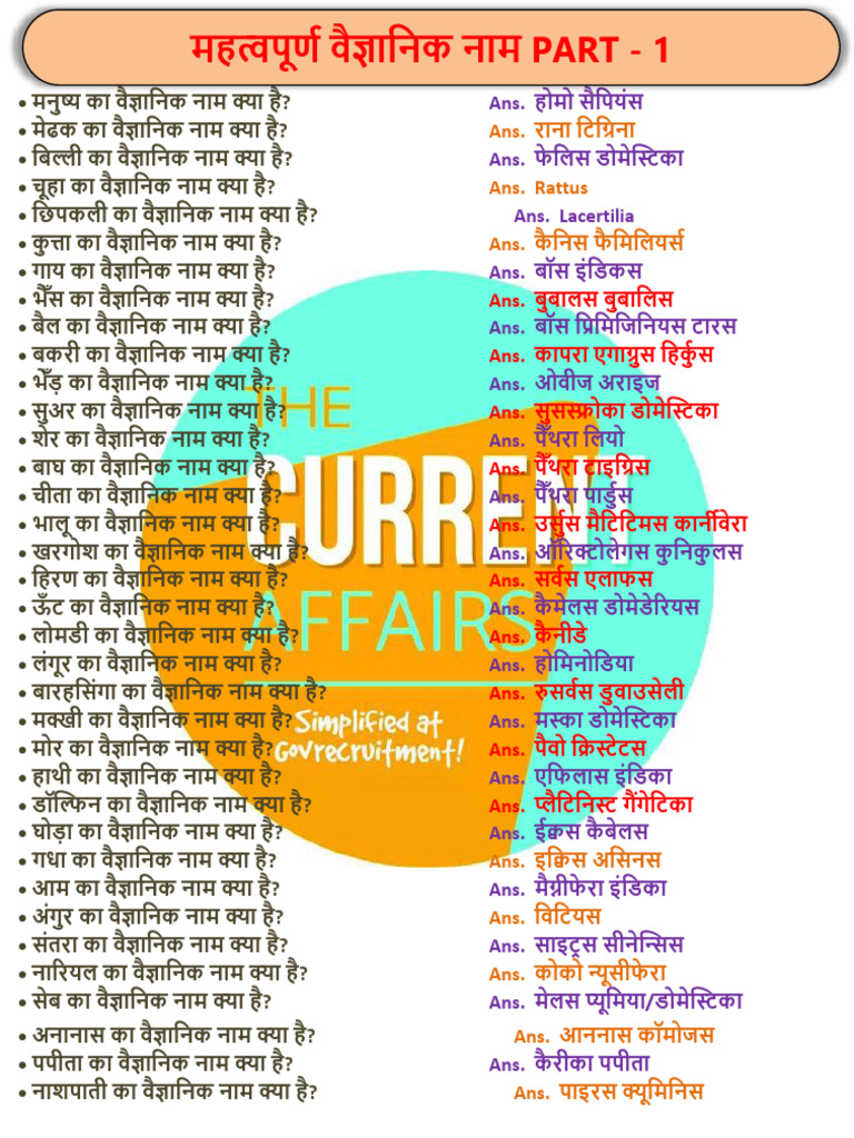 Part - 1: Ans. Ans. Rattus Ans | PDF