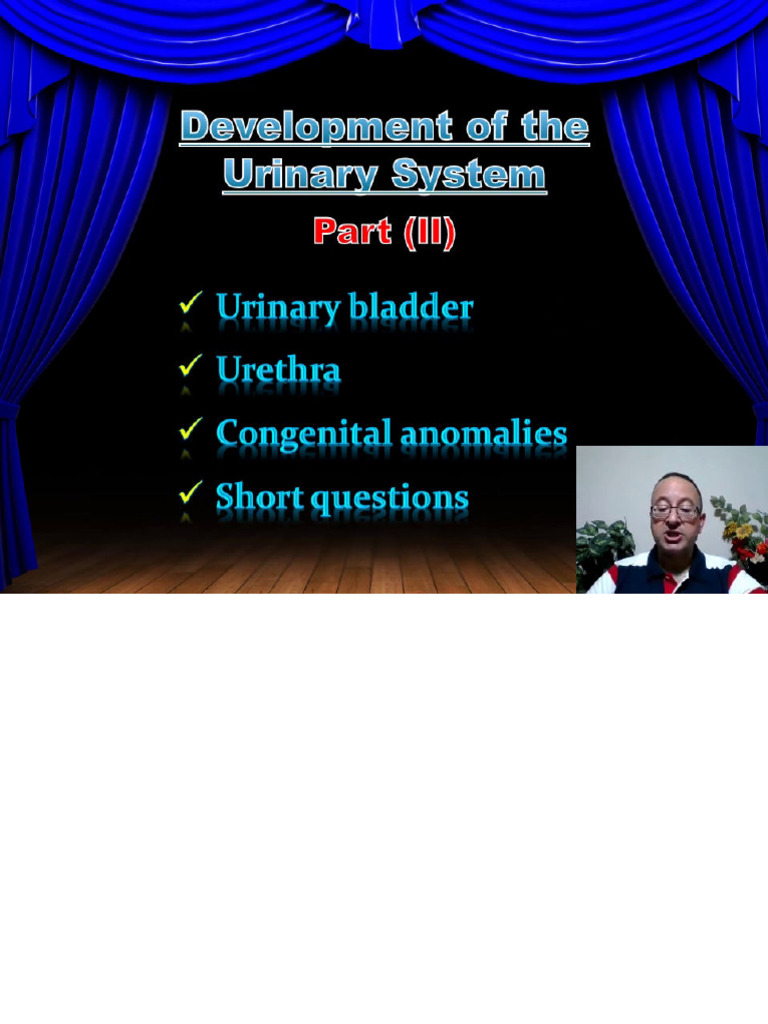 6 - Development of Urinary System Part 2 | PDF