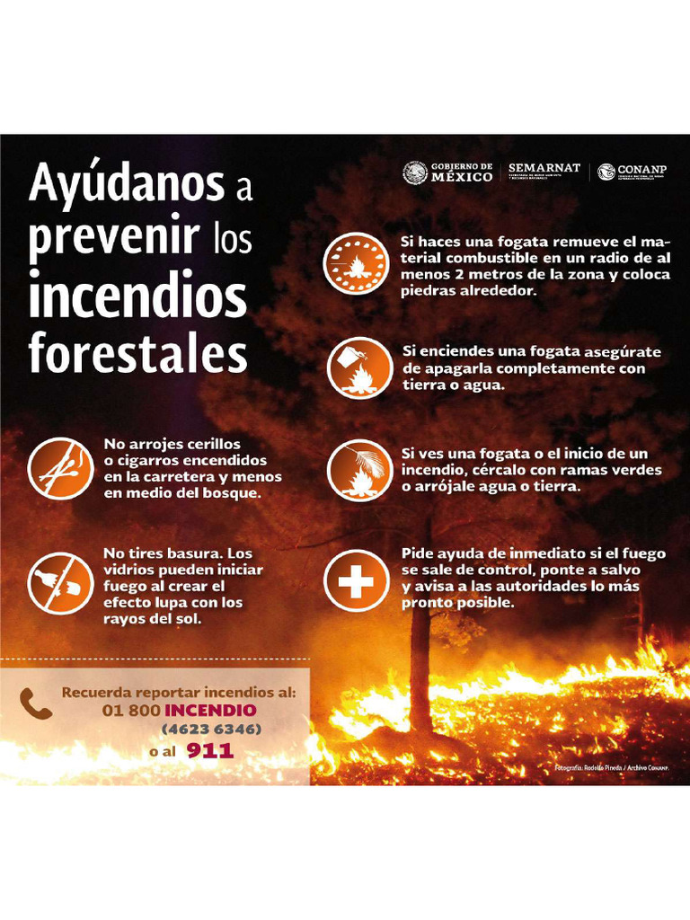 Infografia Incendios Forestales 2 | PDF