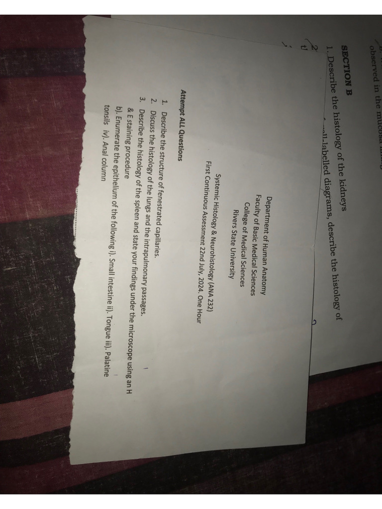 Kamsi's Set Past Questions | PDF