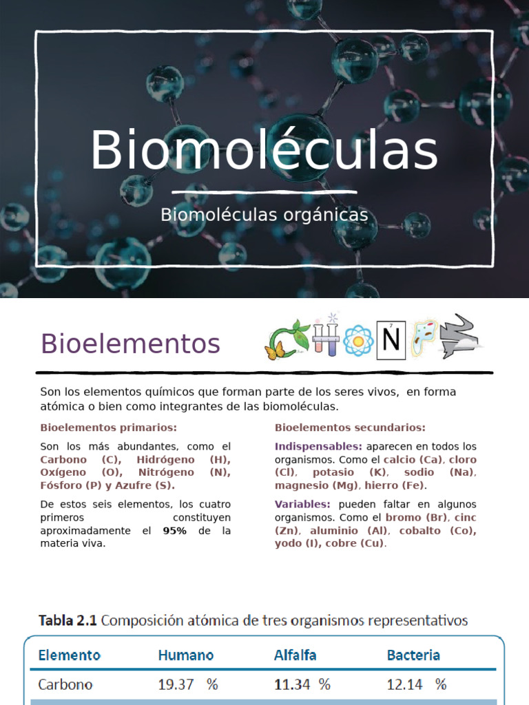 Biomoleculas - Organicas2025 2 | PDF | Nucleótidos | Carbohidratos