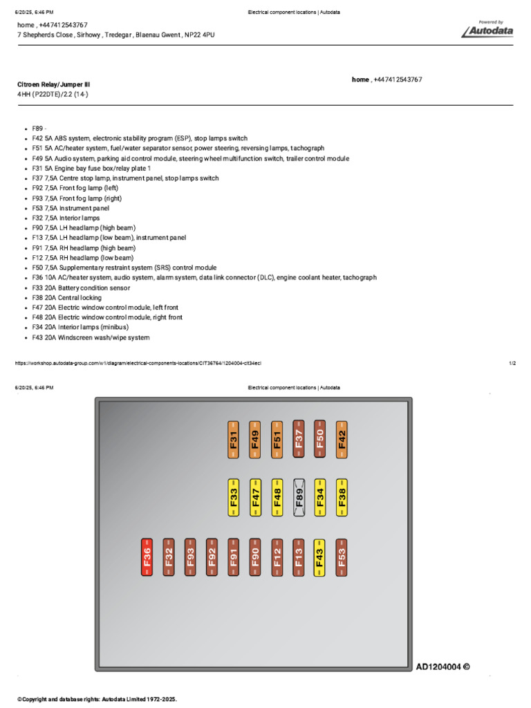 Fascia | PDF
