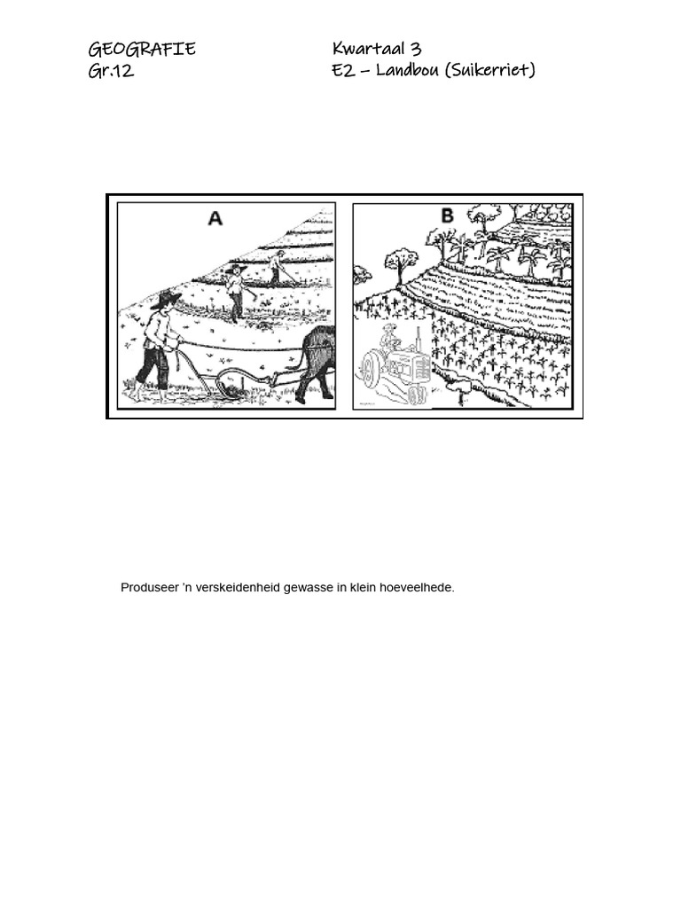 E2 - Landbou - Suikerriet - 2025 | PDF