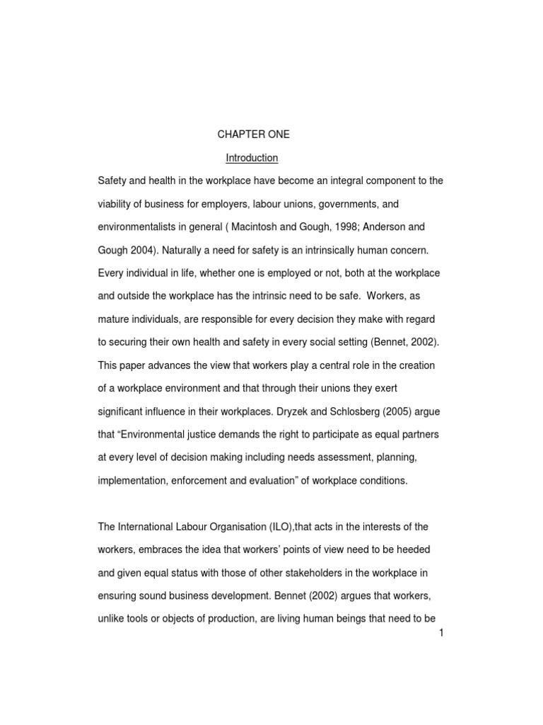 Mini Dissertation | PDF | Occupational Safety And Health | Occupational ...