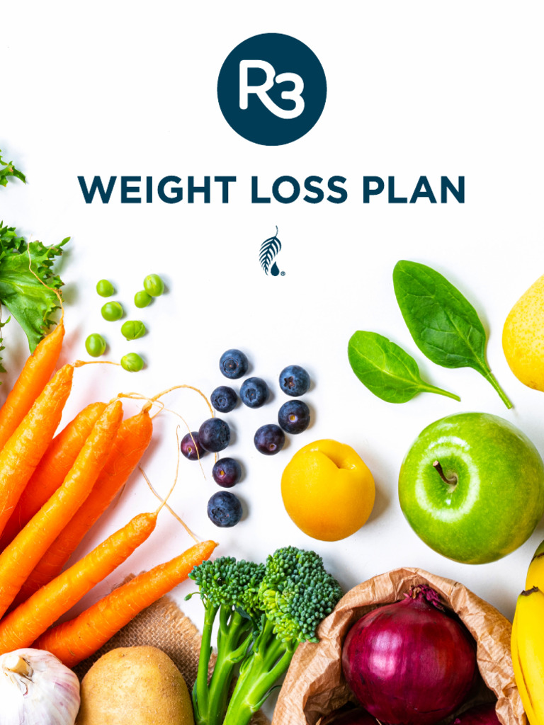 The New R3 Plan | PDF