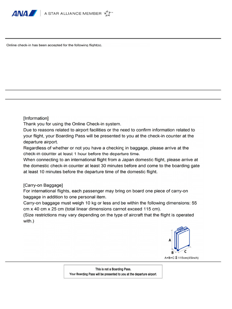 Web Checkin Receipt | PDF