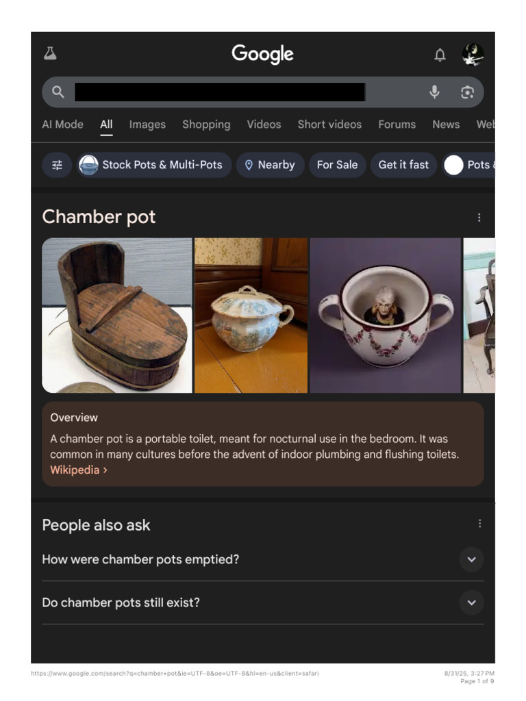 Understanding Chamber Pots: Usage & History | PDF | Toilet | Excretion