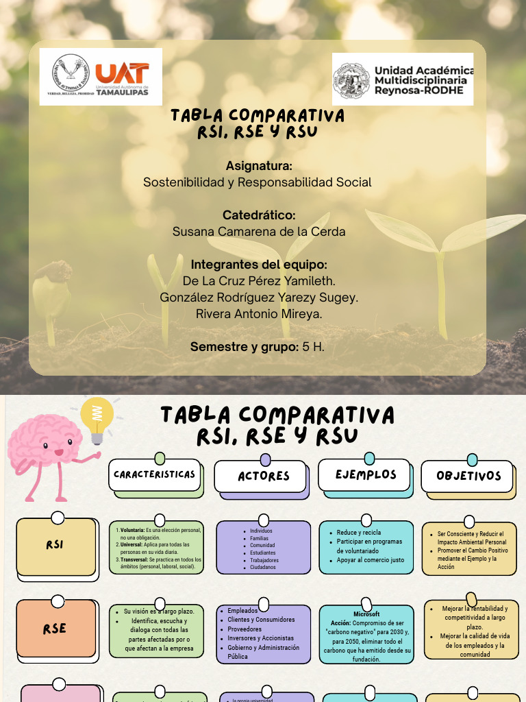 Actividad Tabla Comparativa RSI, RSE y RSU | PDF | Responsabilidad ...