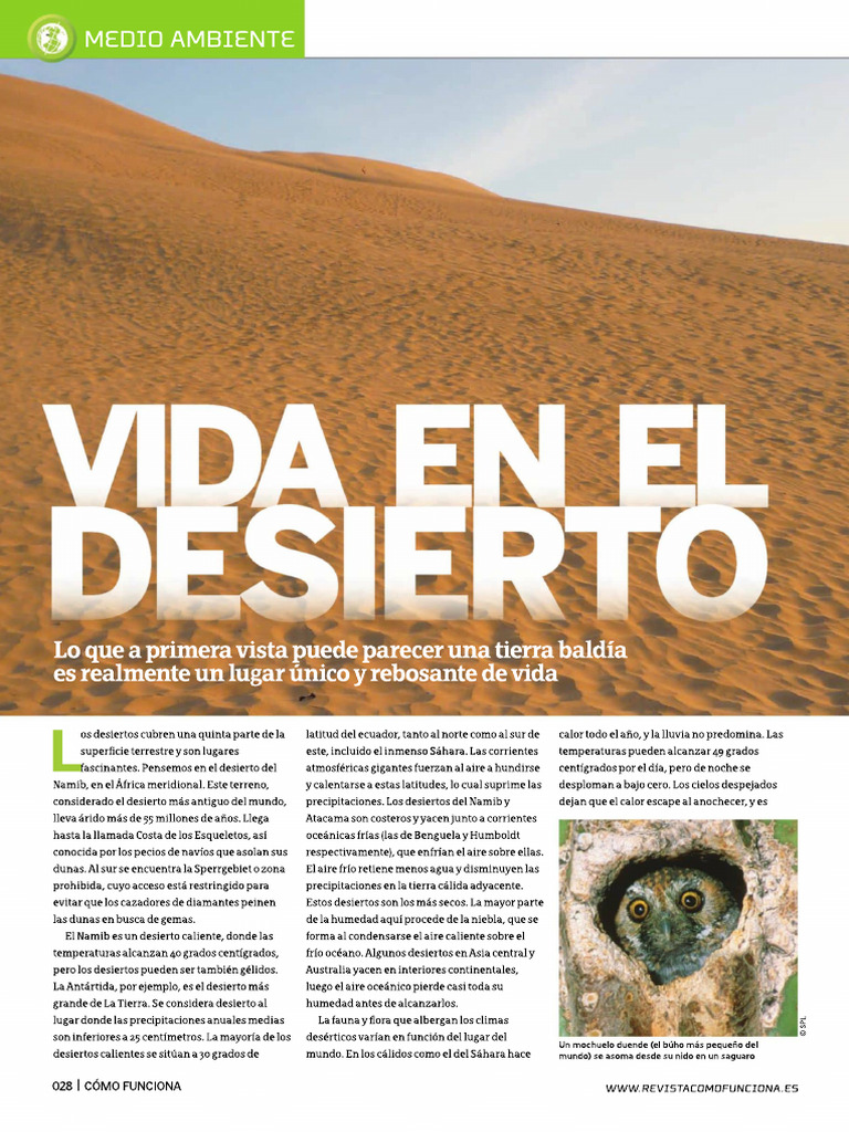 Vida en El Desierto - Cómo Funciona | PDF