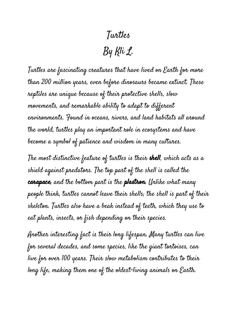 Turtles | PDF | Turtle | Sea Turtle