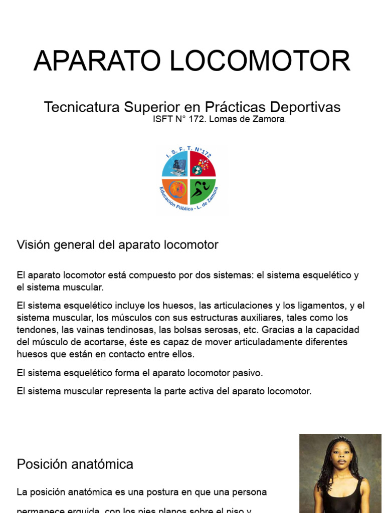 Anatomía del Aparato Locomotor | PDF