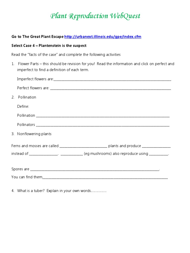 Plant Reproduction Webquest | PDF | Seed | Flowers