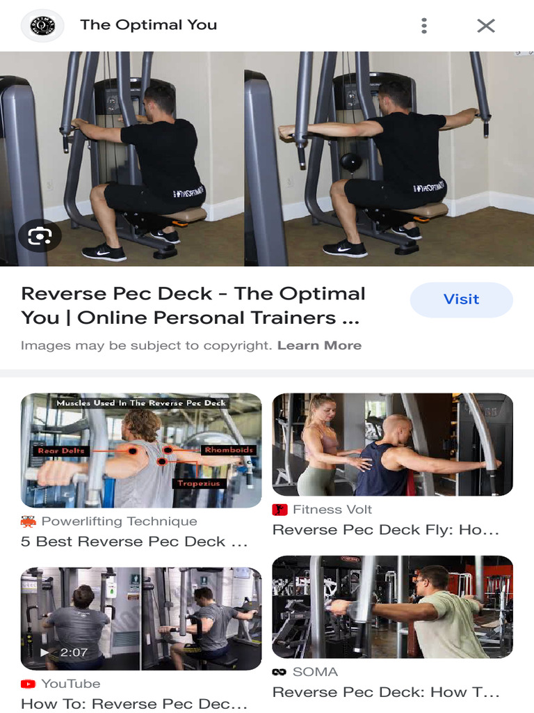 Reverse Pec Deck - Google Search | PDF