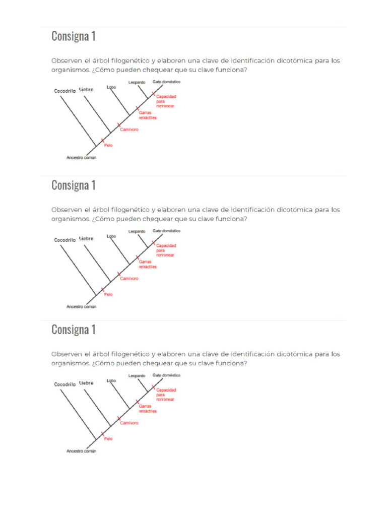 Consigna 1 Clave Dicotómica | PDF