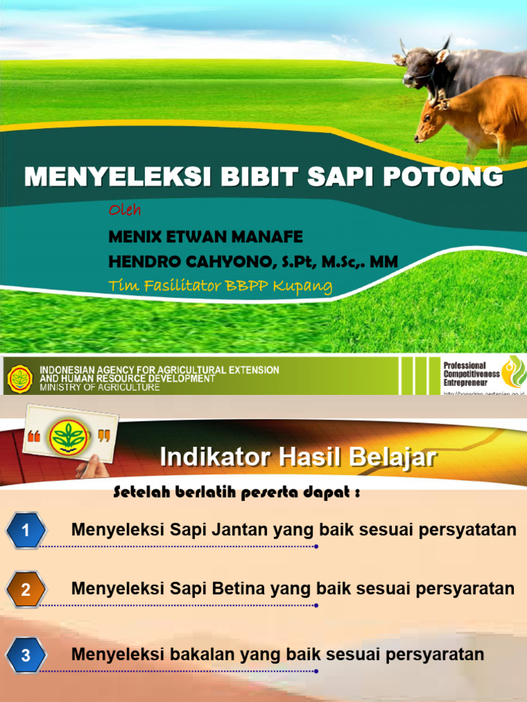 Panduan Seleksi Bibit Sapi Potong | PDF