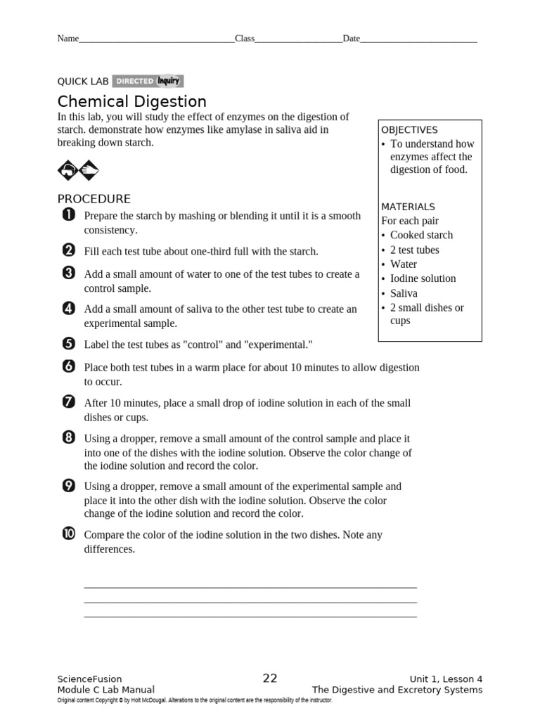 Chemical Digestion Lab AK | PDF | Starch | Digestion
