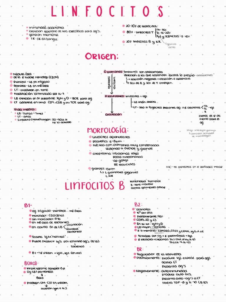 Linfocitos Inmuno | PDF