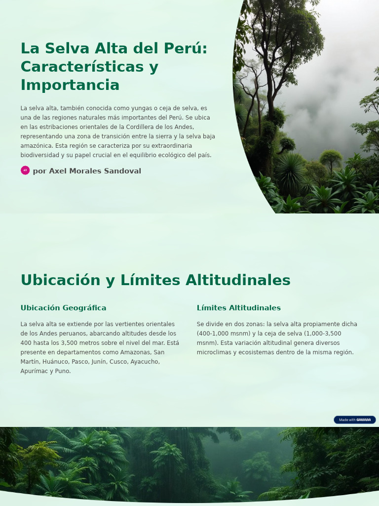 Importancia de la Selva Alta en Perú | PDF | Geografía Física | Ecología