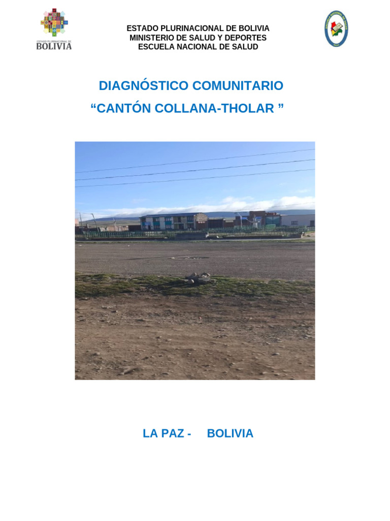 Diagnóstico Comunitario en Tholar, Bolivia | PDF | Agricultura | Clima