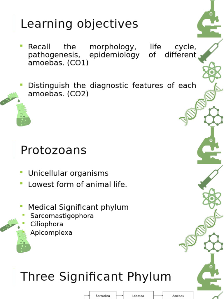 4 Amoebas | PDF | Microbiology | Medical Specialties
