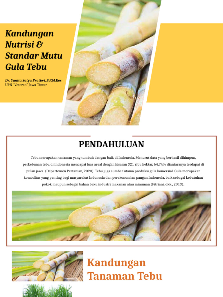 Standar Mutu Gula Tebu SNI 3140.3:2010 | PDF
