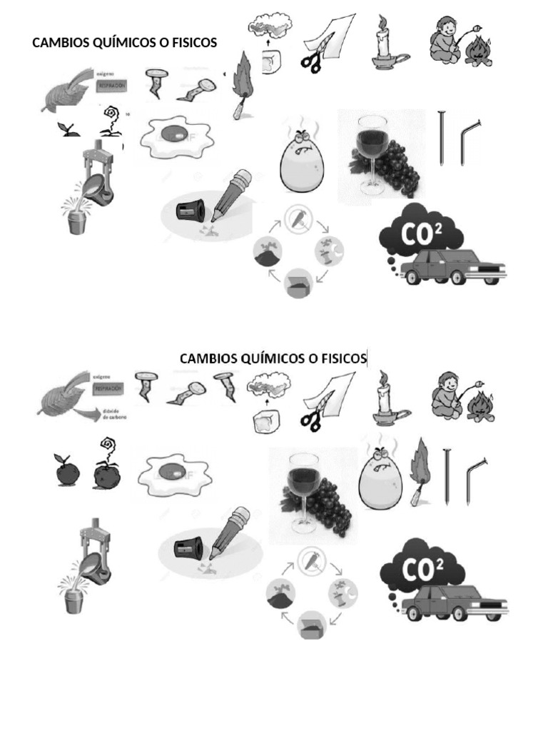 Hoja de Trabajo Cambio Físico - Qupimico | PDF