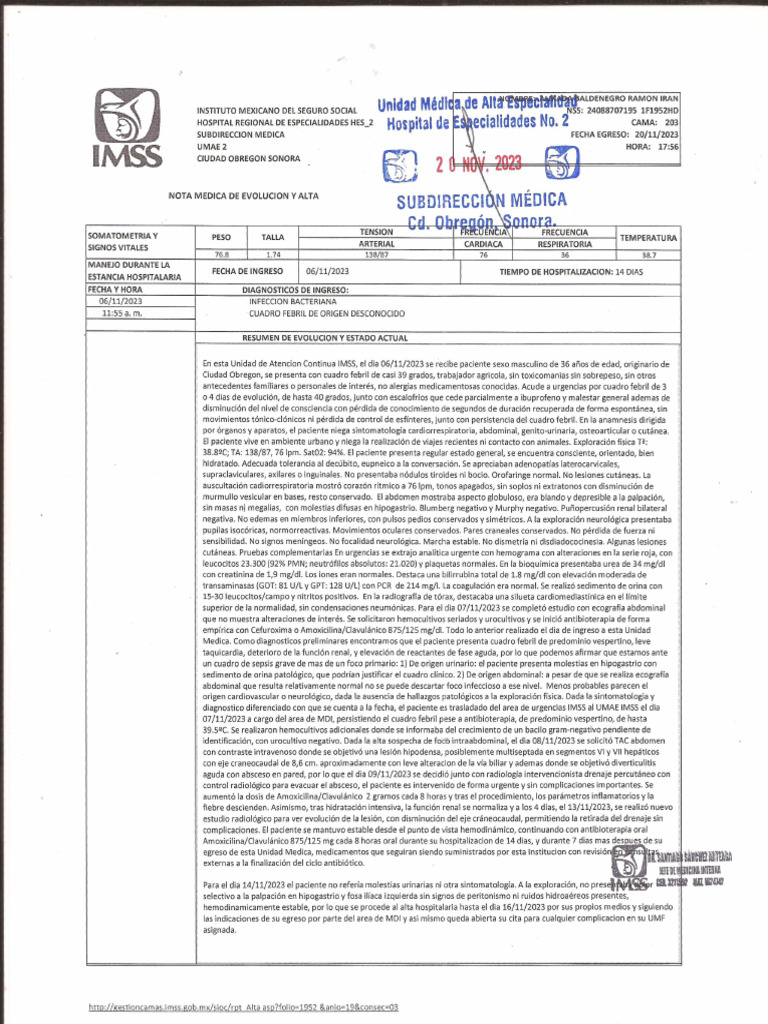 Imss | PDF
