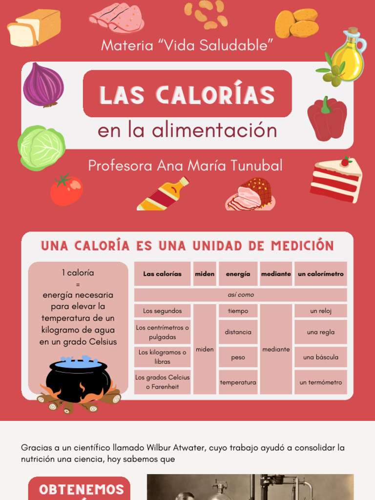 ¿Qué son las calorías y su importancia? | PDF | Caloría | Nutrientes