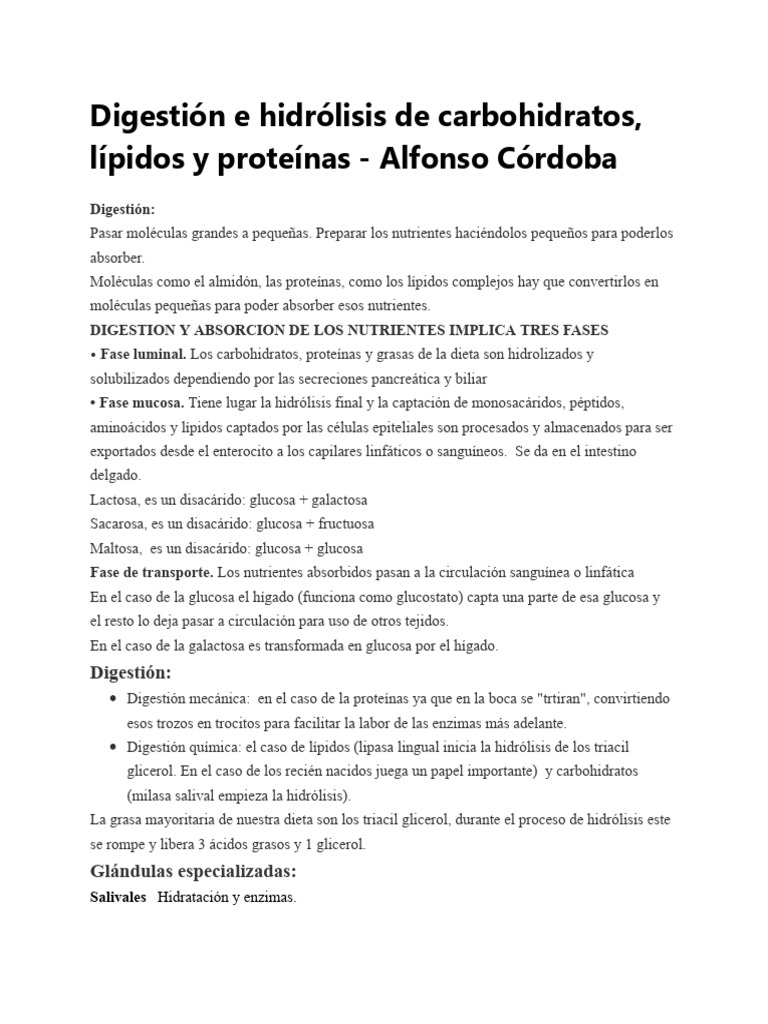 Digestión e Hidrólisis de Carbohidratos, Lípidos y Proteínas - Alfonso Córdoba | PDF | Digestión ...