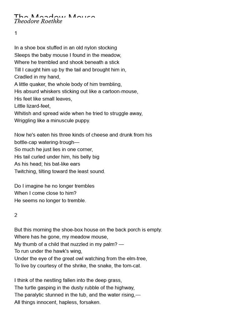 The Meadow Mouse: A Poem Summary | PDF