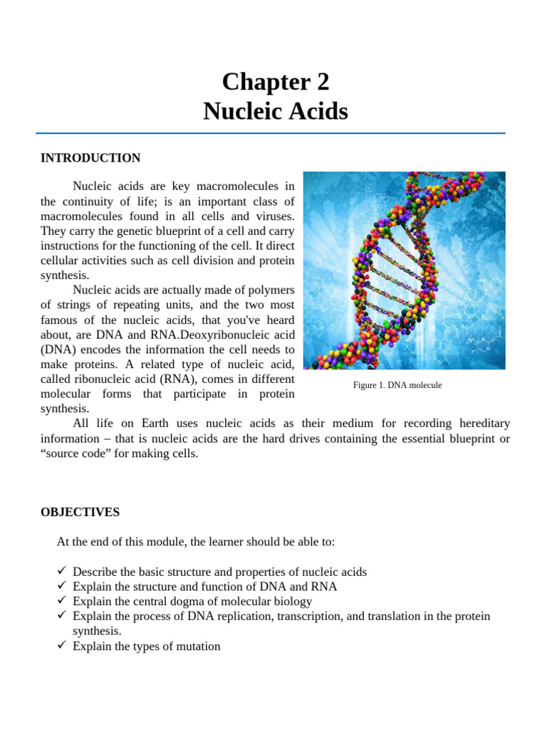 Biochemistry Module Chapter 2d Nucleic Acids | PDF | Rna | Dna
