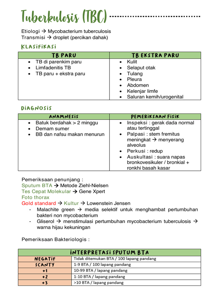 Panduan Diagnostik dan Terapi TB | PDF