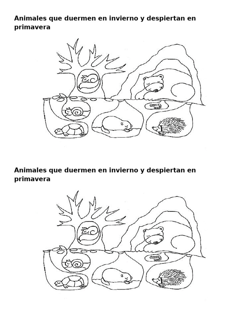 Ficha de Animales Que Hibernan y Migran | PDF