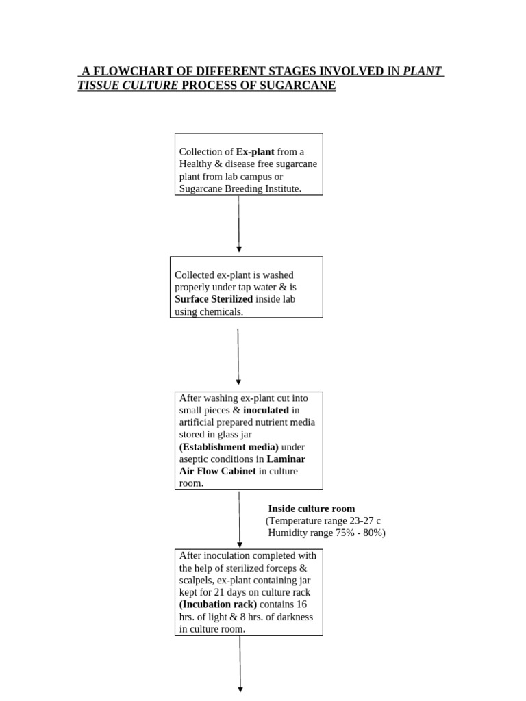 Tissue Culture Flow Cycle | PDF | Agriculture | Horticulture