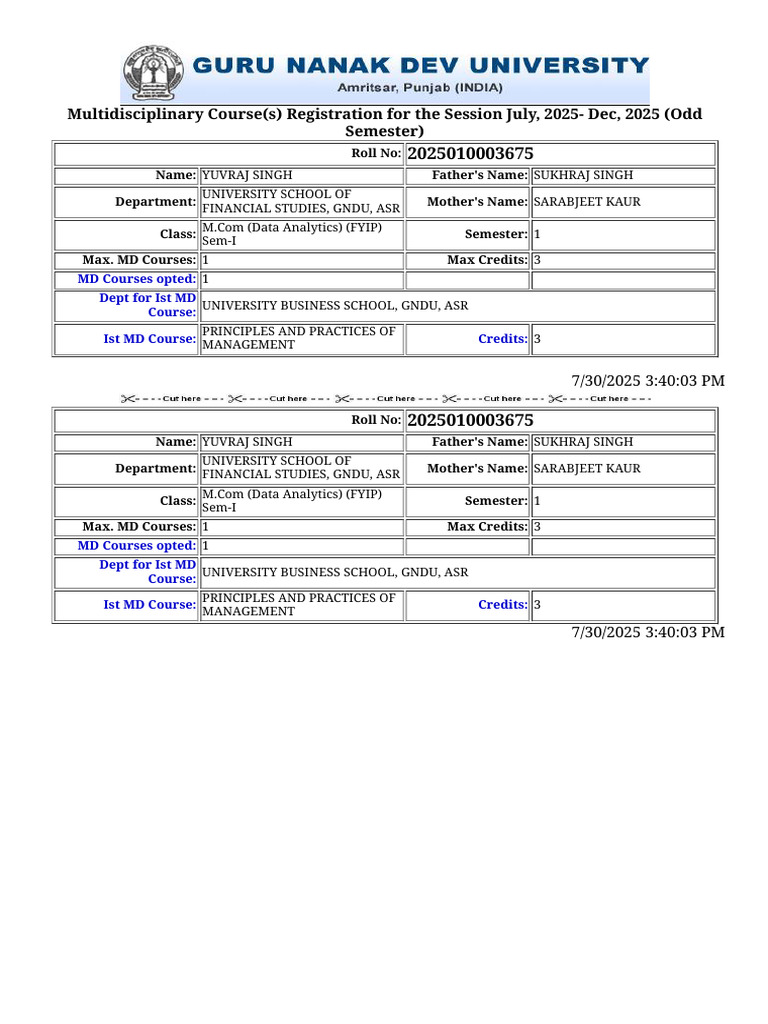 Interdisciplinary Form Print | PDF