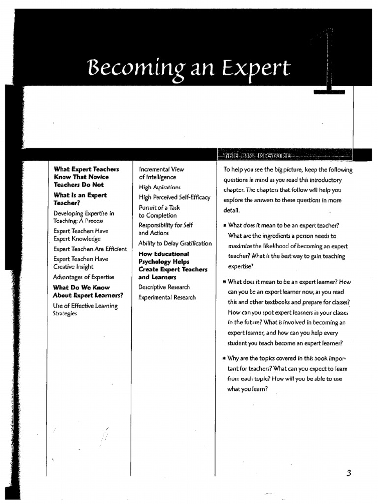 Becoming An Expert | PDF