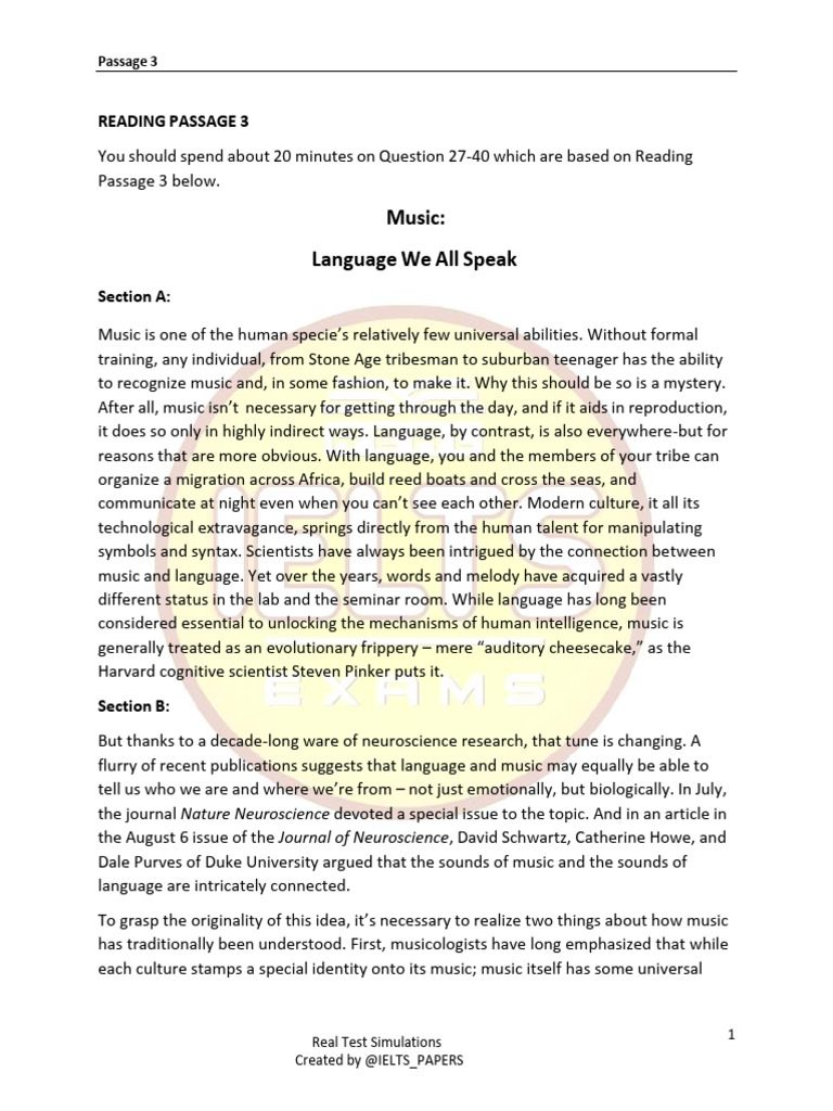 Music: A Universal Language | PDF | Piano | String Instruments