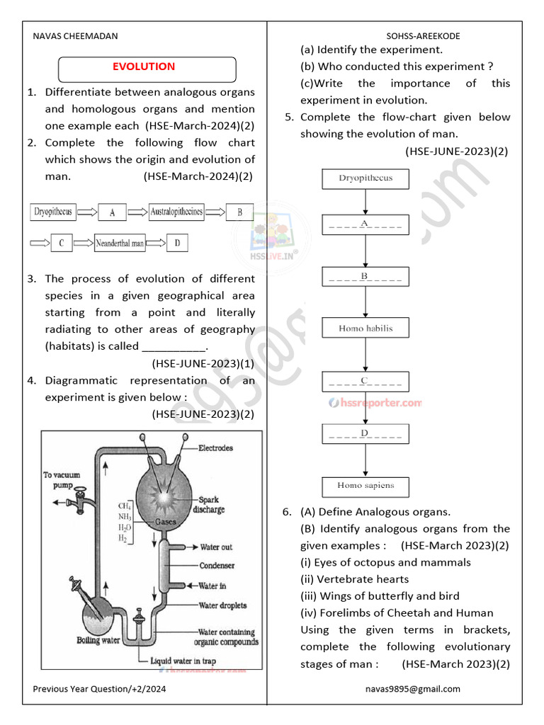 Evolution Questions for +2 Students | PDF | Evolution | Homo