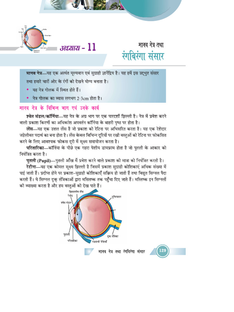 10th Physics Notes | PDF