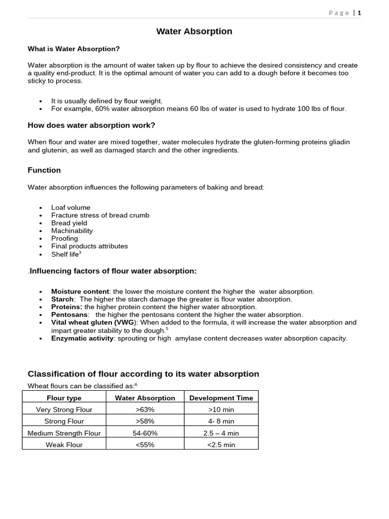 Understanding Water Absorption in Baking | PDF | Flour | Breads