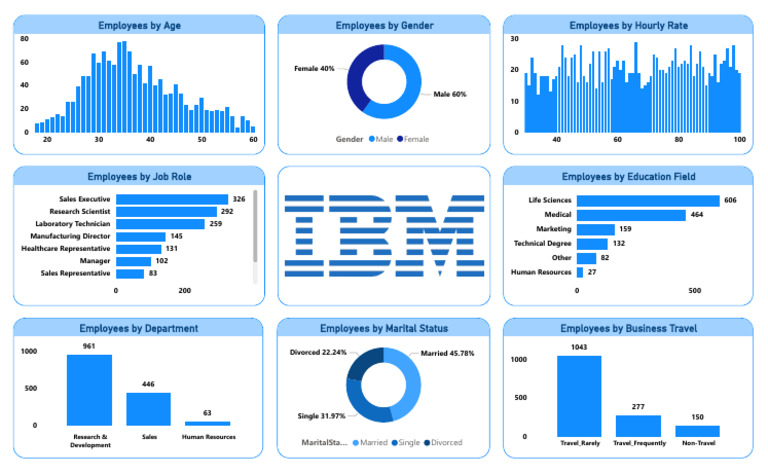 IBM Workforce Intelligence Dashboard | PDF | Woman