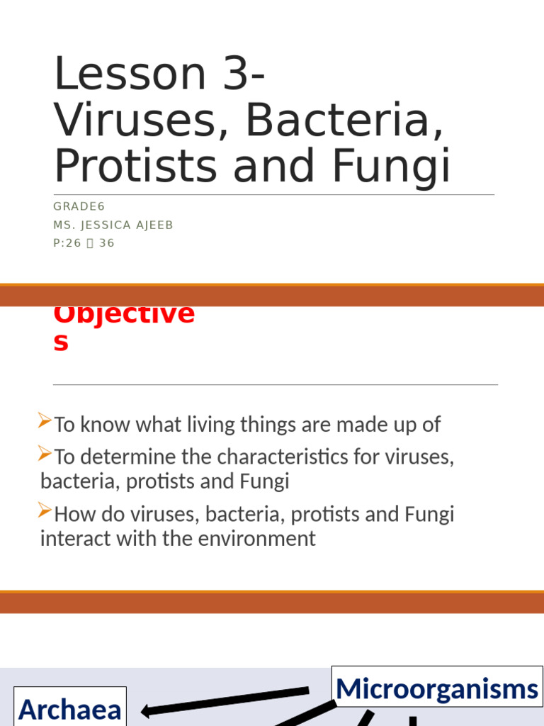 L3 - Viruses, Bacteria, Protists and Fungi (For Stidents) | PDF ...