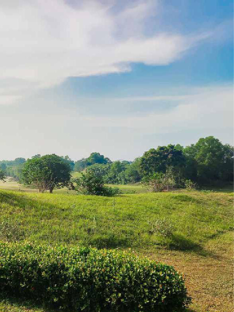 Biodiversity in Korean Export Zone | PDF | Elephant | Conservation Biology